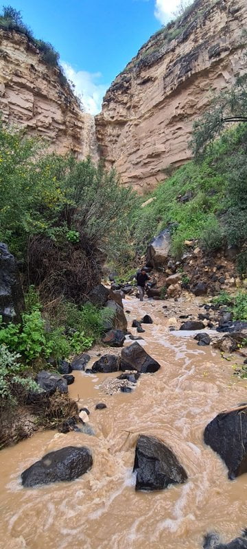 Hot Springs Israel | Hamat Gader | Tiberias Hot Springs | Ein Jones